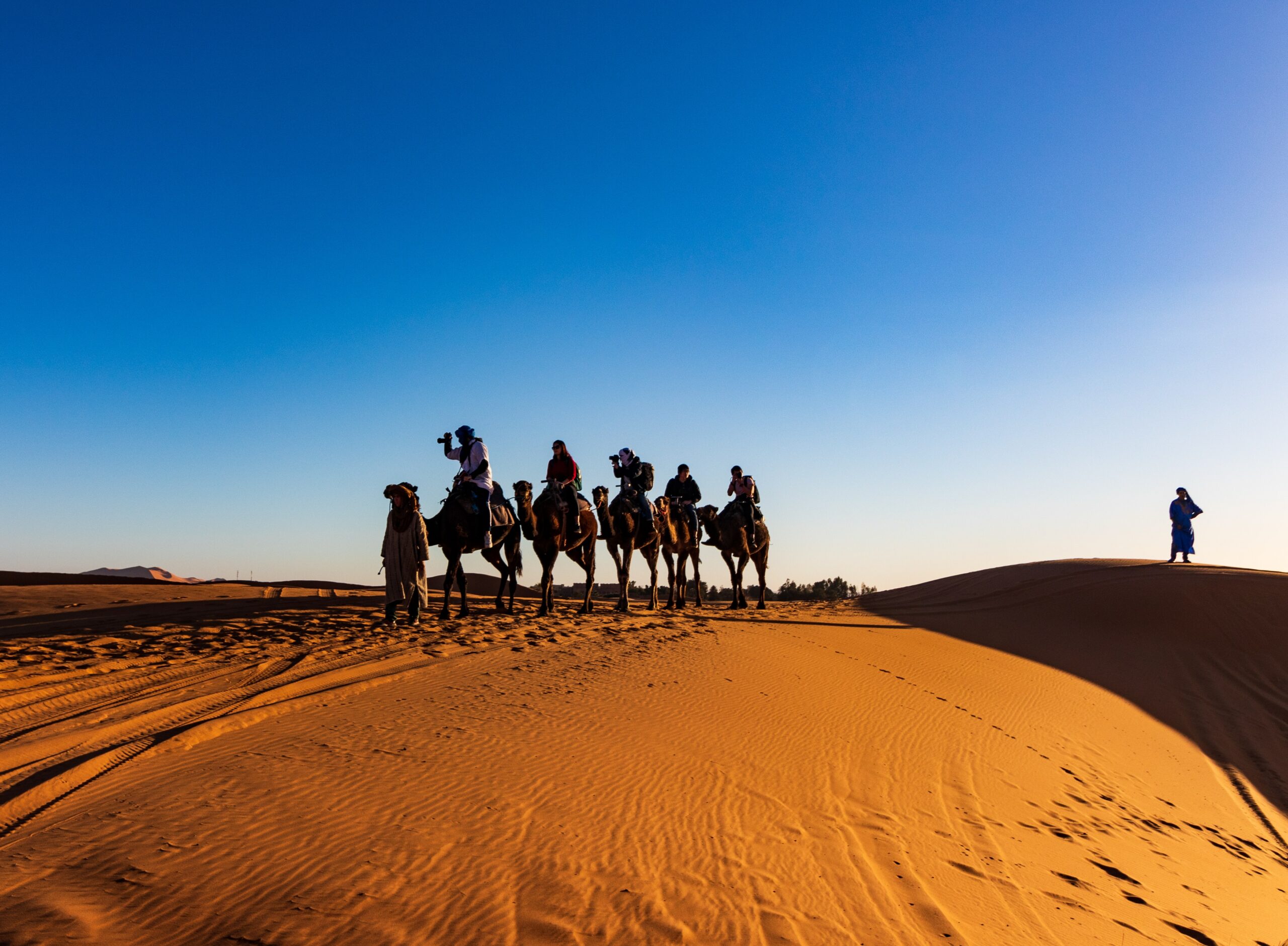 Activités Marrakech – Excursions à Marrakech